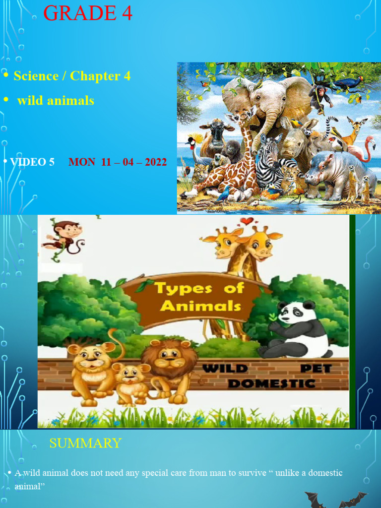Wild Animal 1 | PDF
