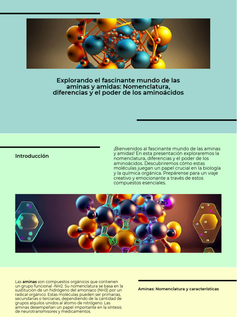 Aminas y Amidas: Nomenclatura y Poder | PDF | Amina | Amida