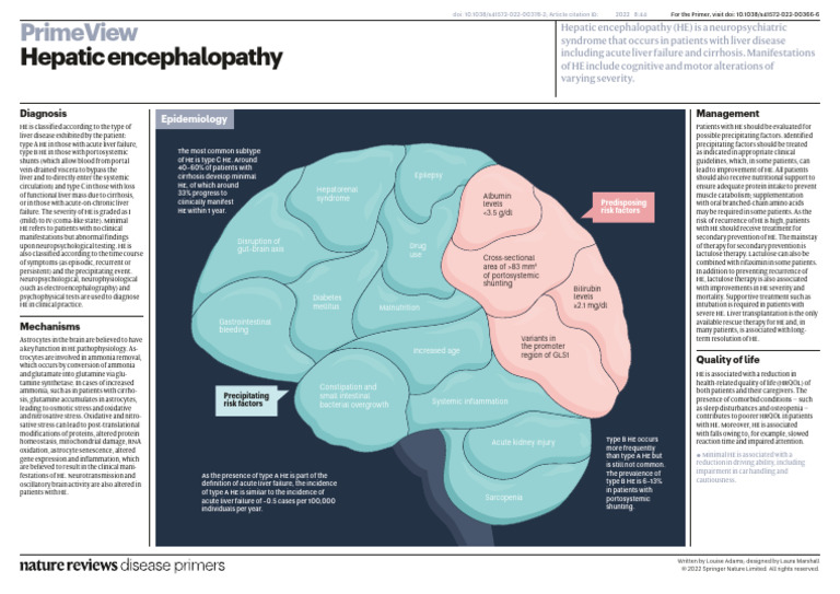 Hepatic Encephalopathy | PDF | Cirrhosis | Medical Specialties