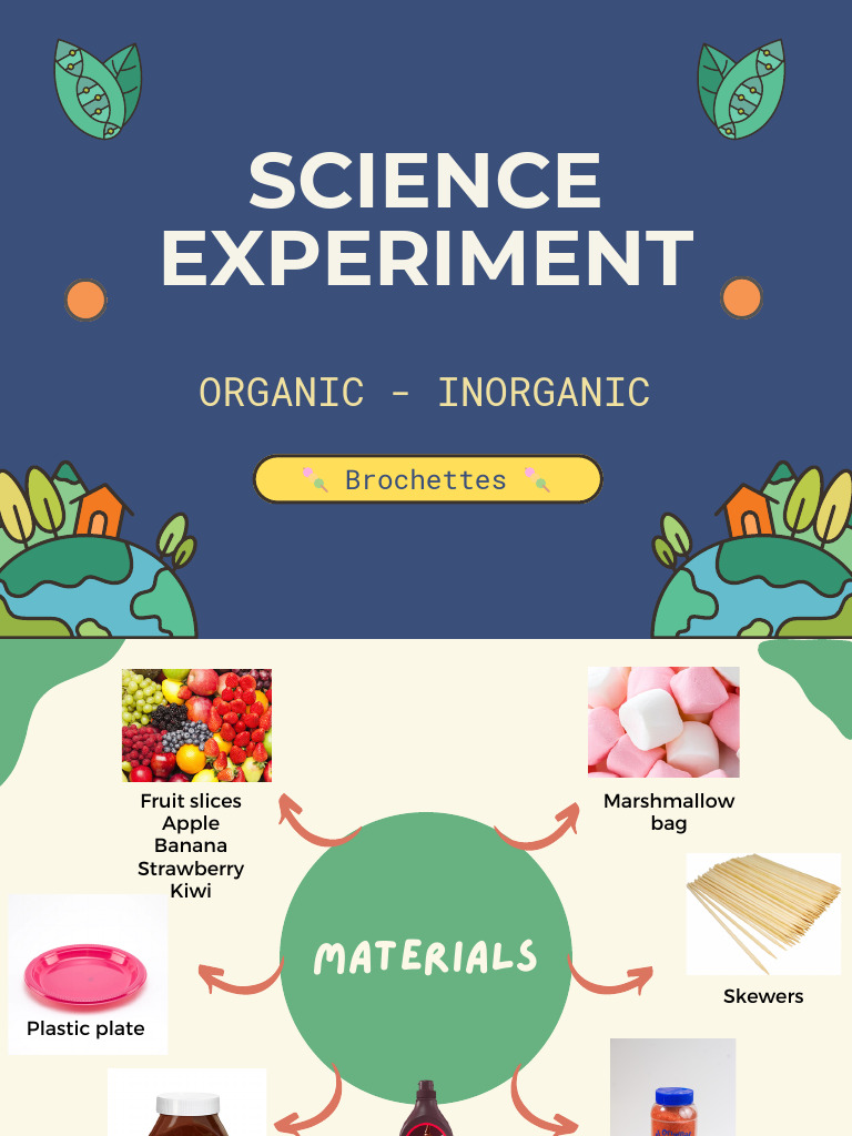 Mr. Mike Science Experiment | PDF