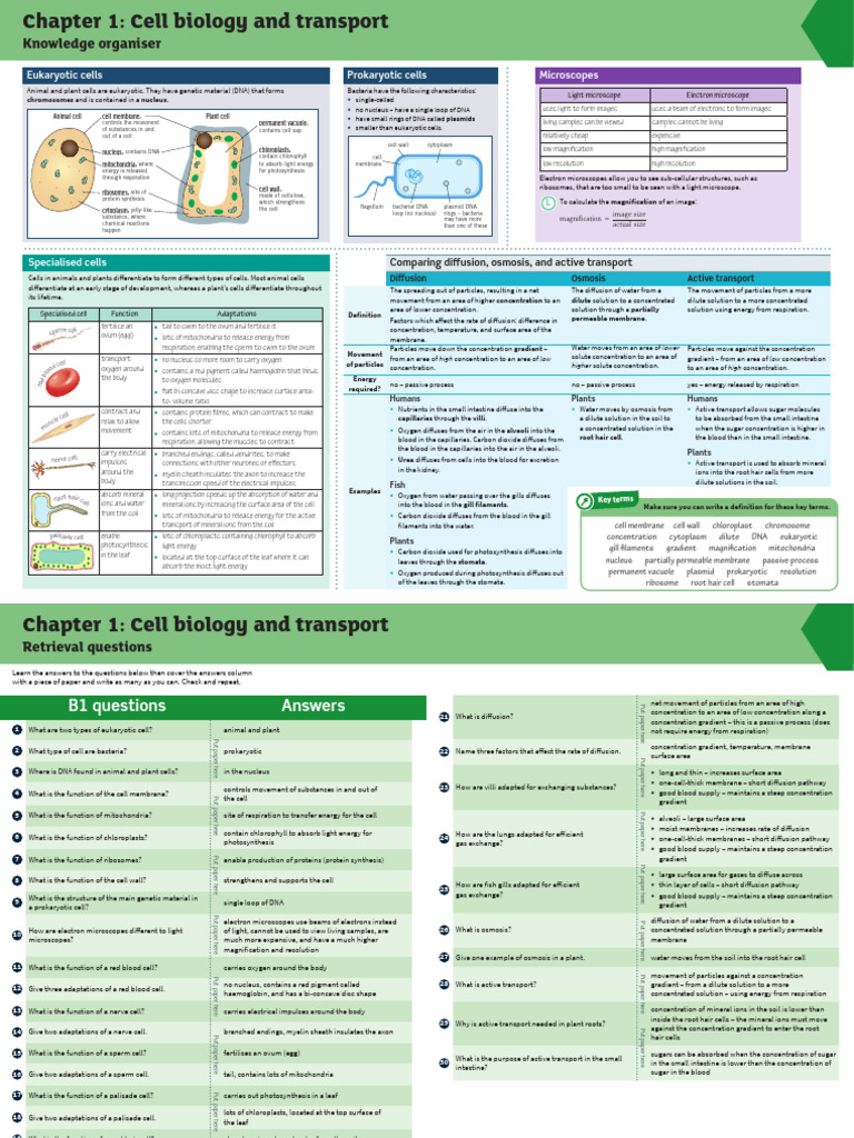 Knowledge Organiser: Eukaryotic Cells Prokaryotic Cells Microscopes | Download Free PDF | Cell ...