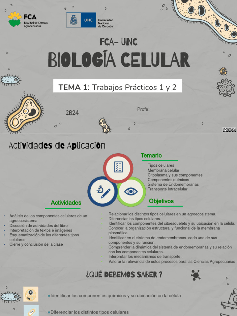 Tema 1 - TP 1 y 2 - BC 2024 | PDF | Biología Celular) | Membrana celular
