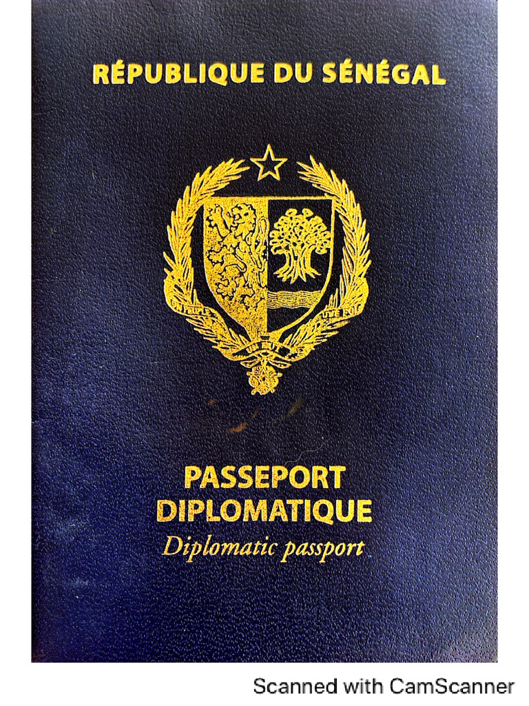 Passport EMD 1 | PDF