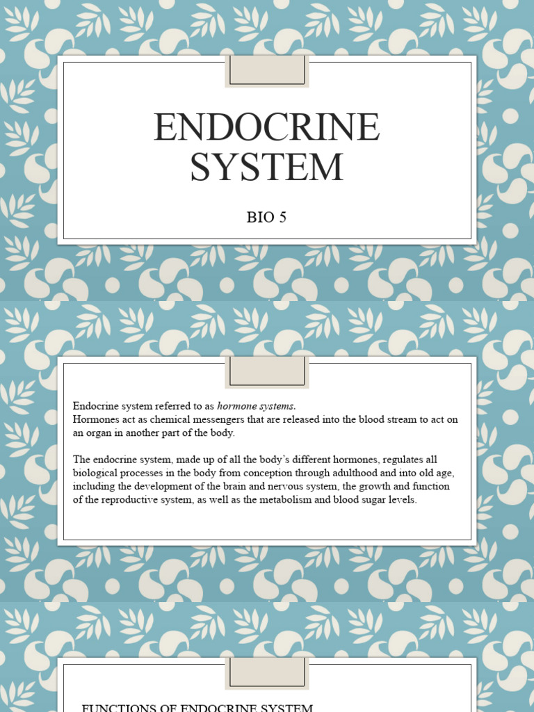 Endocrine System | PDF | Endocrine System | Pituitary Gland