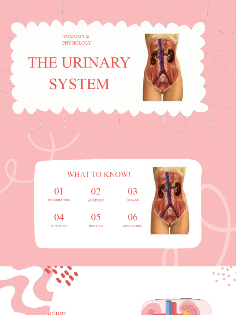 PINK Cream and Green Illustrative Science Project Presentation | PDF ...