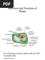 Walkthrough Divimera (R8) | PDF