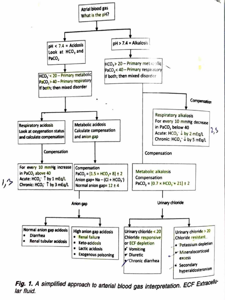 ABG Analysis | PDF | Physiology | Clinical Medicine