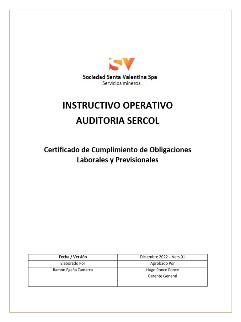 Instructivo Proceso Auditoria Sercol | PDF | Outsourcing | Business