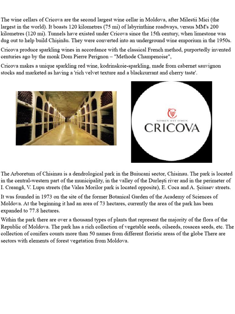 German Project | Download Free PDF | Wine