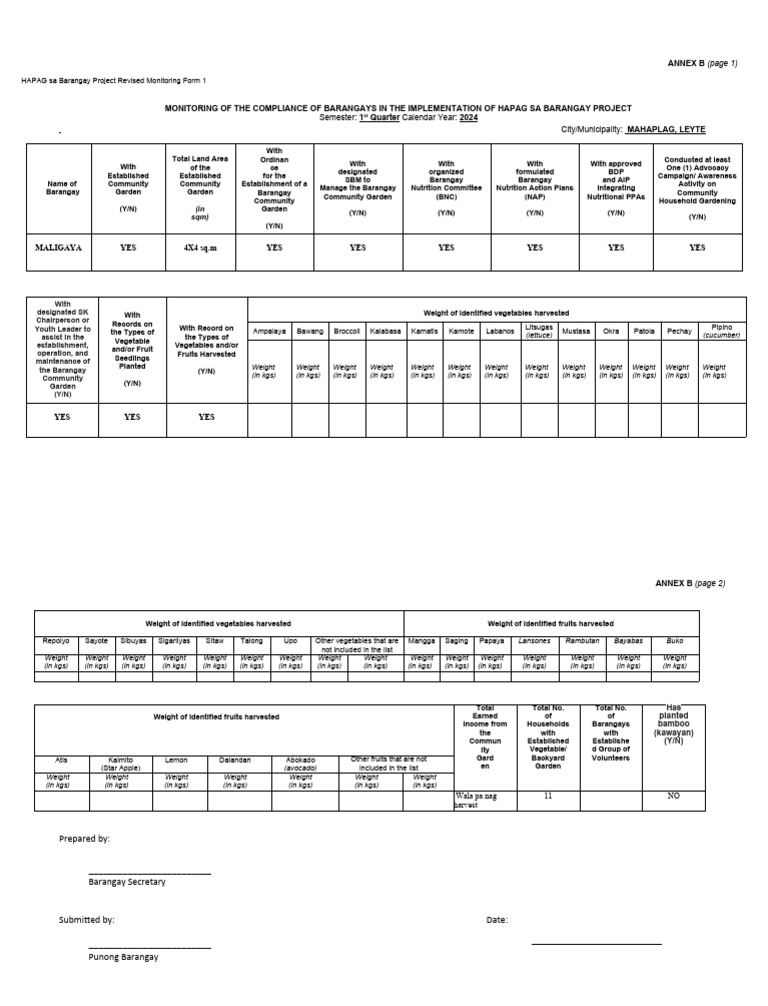 Annex B Hapag Revised Form For Barangay | PDF | Vegetables | Agronomy