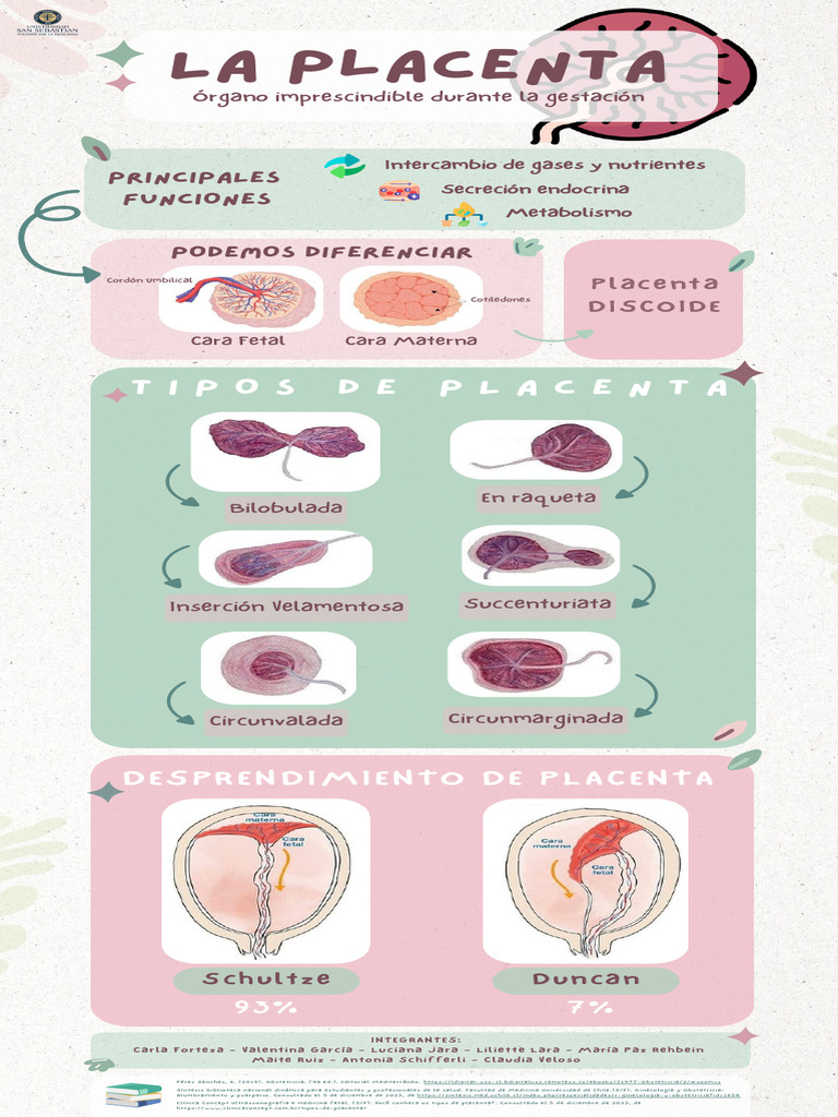 Placenta | PDF | Placenta | Reproducción humana