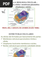 Entendendo a Quimiotaxia | PDF | Quimiotaxia | Sistema imunológico