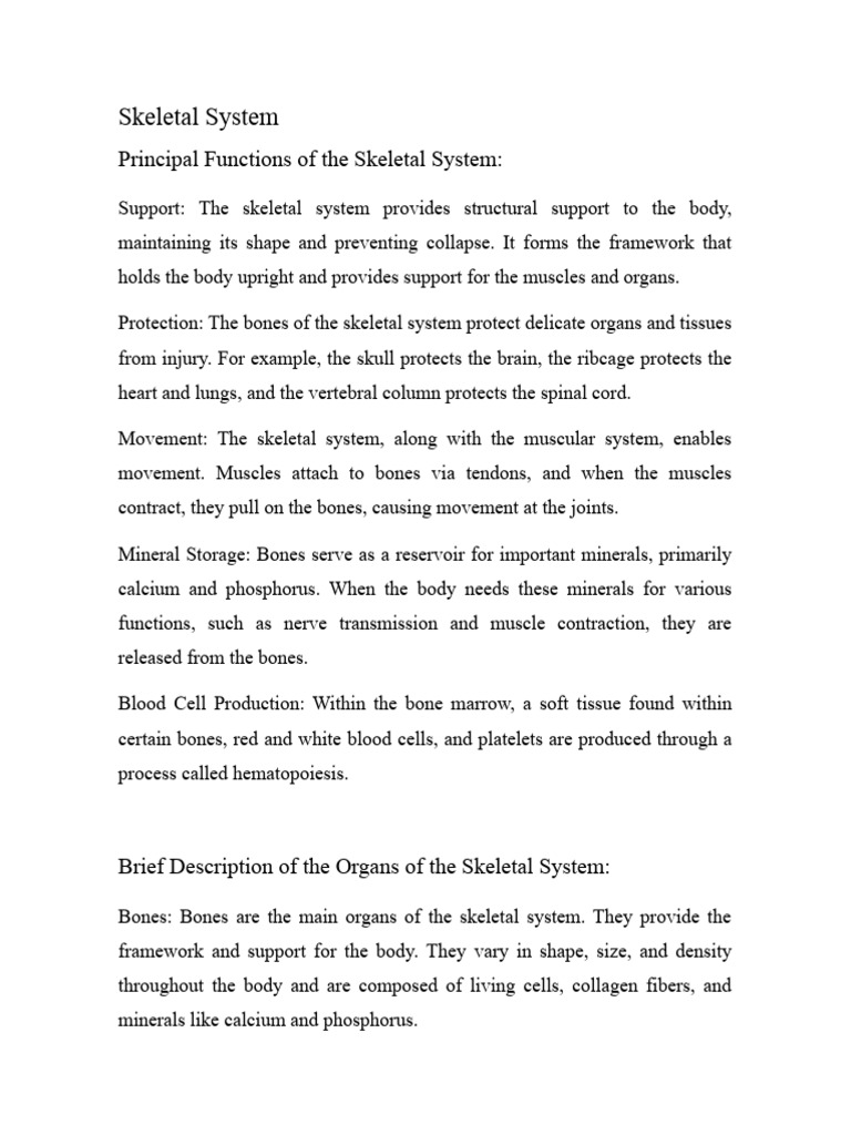 Skeletal and Muscular System Part 1 Album | PDF | Respiratory Tract | Lung