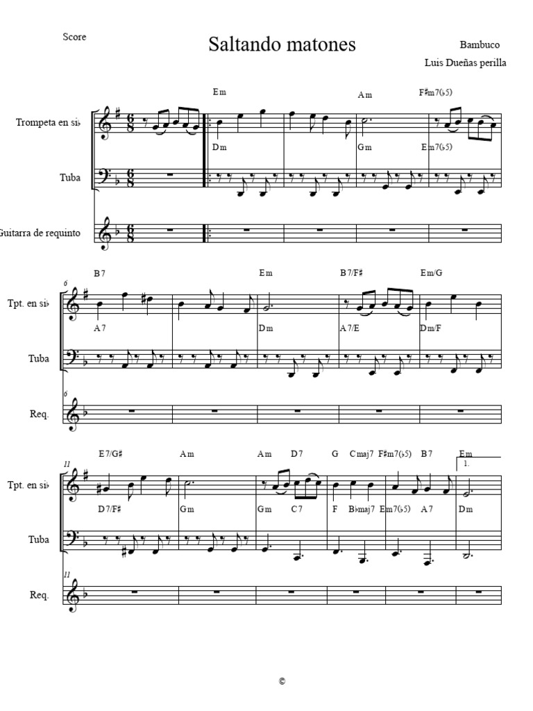 Saltando Matones | PDF