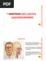 Anat Physio ORL | PDF | Oreille | Système vestibulaire