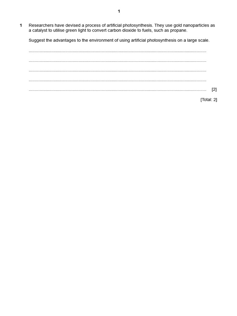 Chapter 8 Worksheet | PDF | Leaf | Photosynthesis