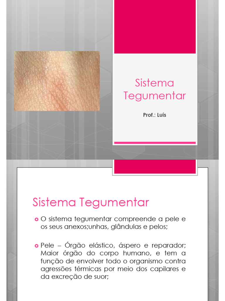 2 - Sistema Tegumentar | PDF | Sistema tegumentar | Biologia