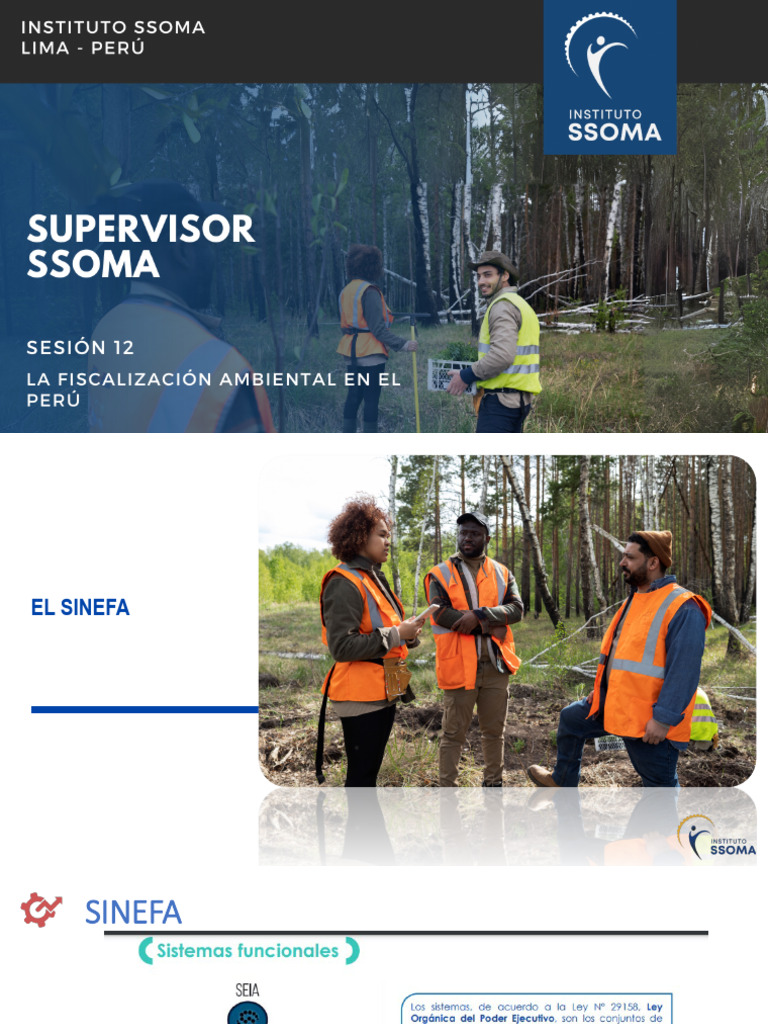 S12 Ssoma | PDF | Regulación