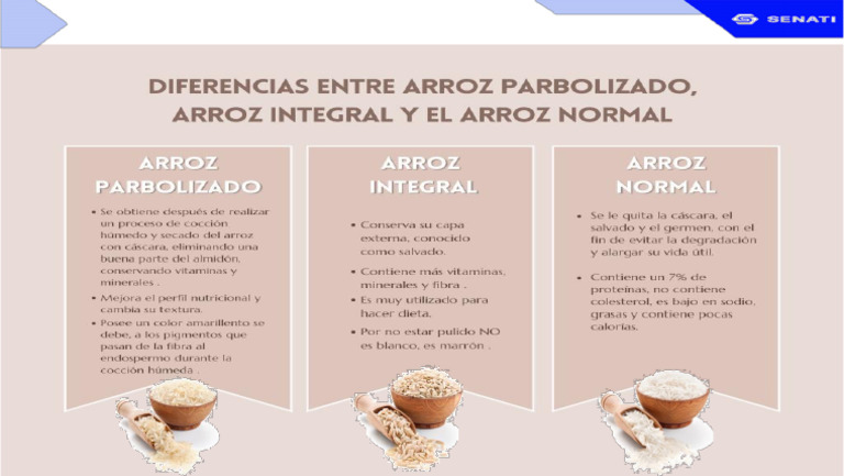 Diferencias de Arroz - Mariana Gonzales A | PDF