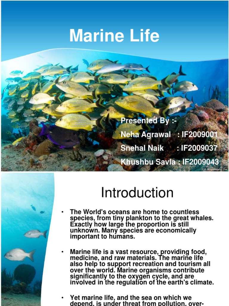 Marine Life | PDF | Coral Reef | Conservation Biology
