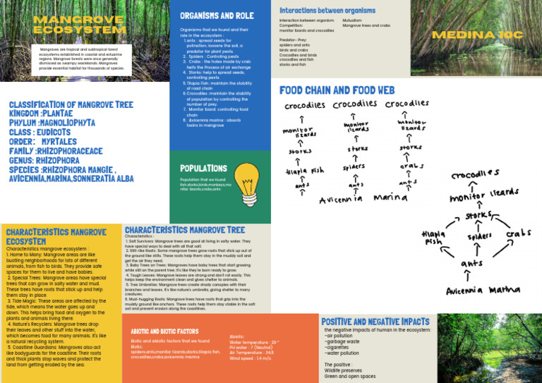 Cientific Poster | PDF | Mangrove | Trees