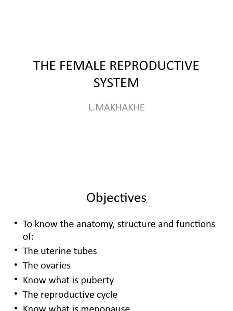 Female Reproductive System Slides | PDF | Menstrual Cycle | Ovary