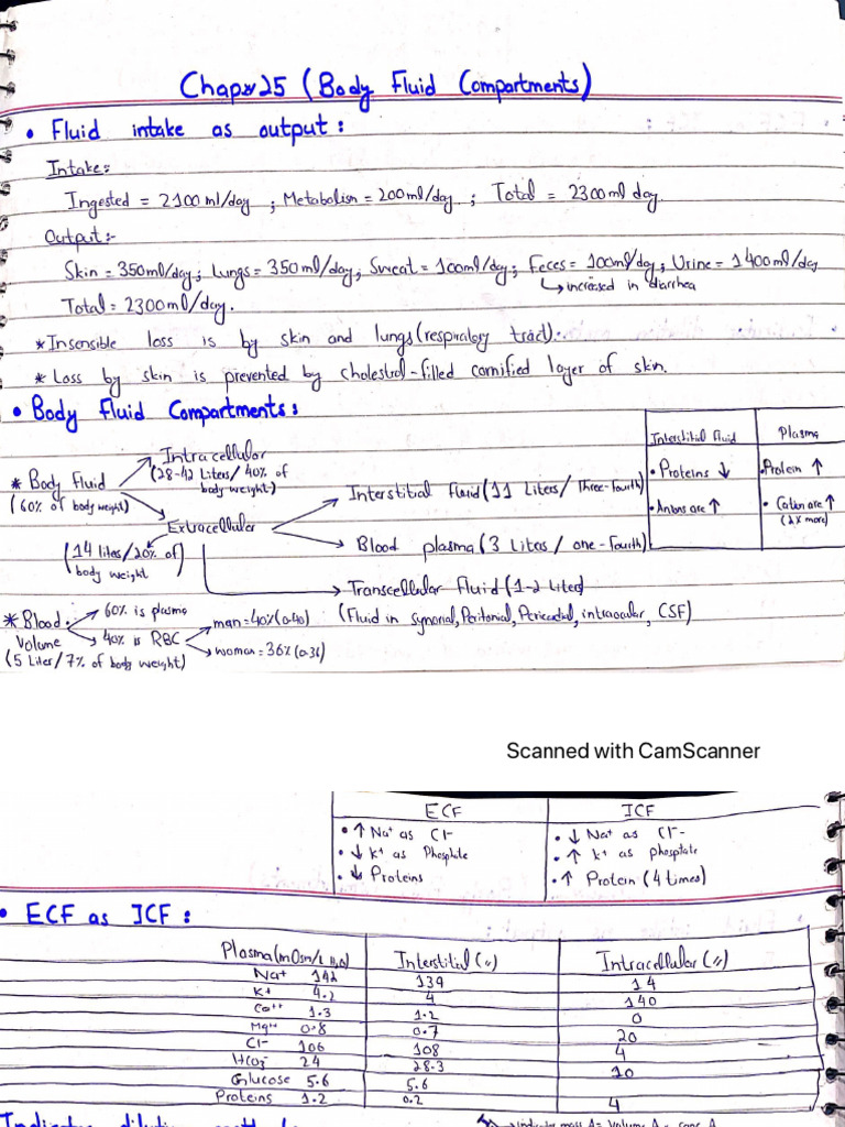 Renal Physio Chap 25 26 27 ND 28 | PDF