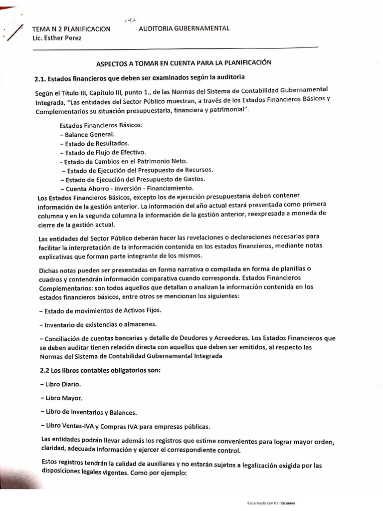 Tema Nro 2 Planificación Aud - Gubernamental | PDF