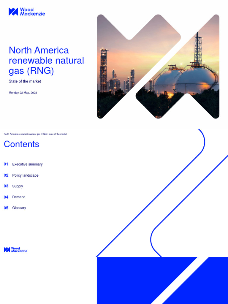 Renewable Natural Gas - State of Market in North America (2023 by Wood ...