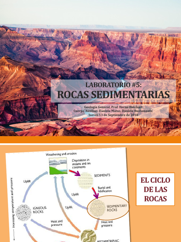 Formación y Clasificación de Rocas Sedimentarias | PDF | Roca clástica ...