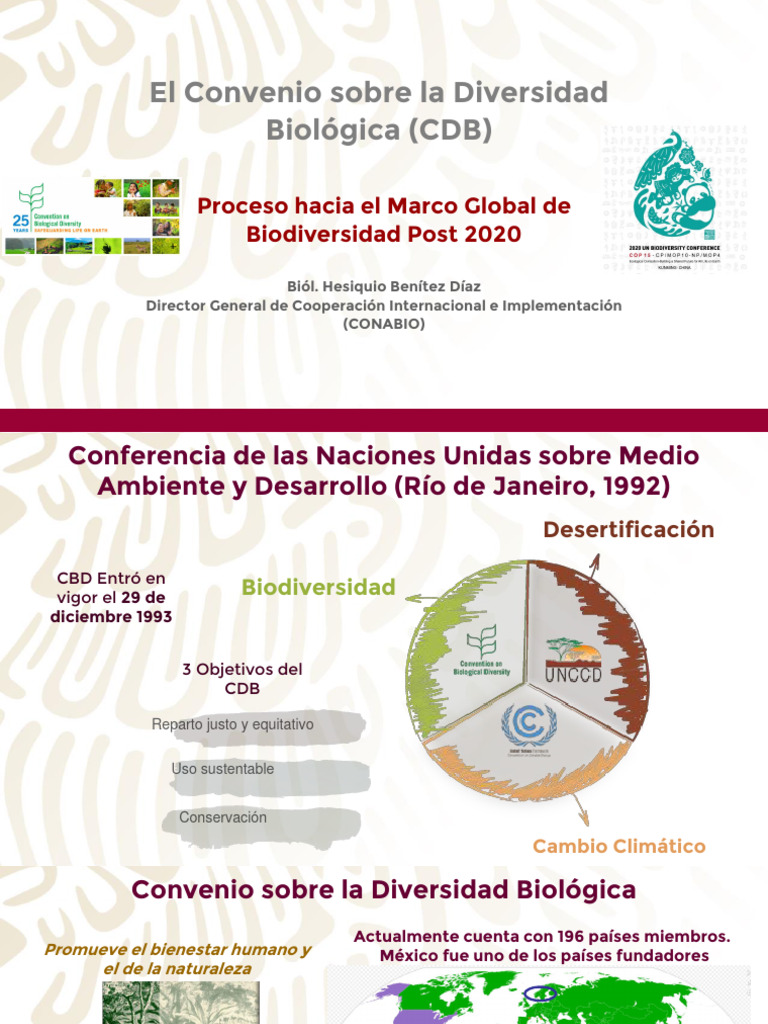 El CDB - Proceso Hacia El Marco Global de Biodiversidad Post 2020 | PDF ...