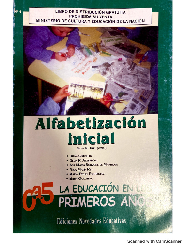Alfabetización Inicial | PDF