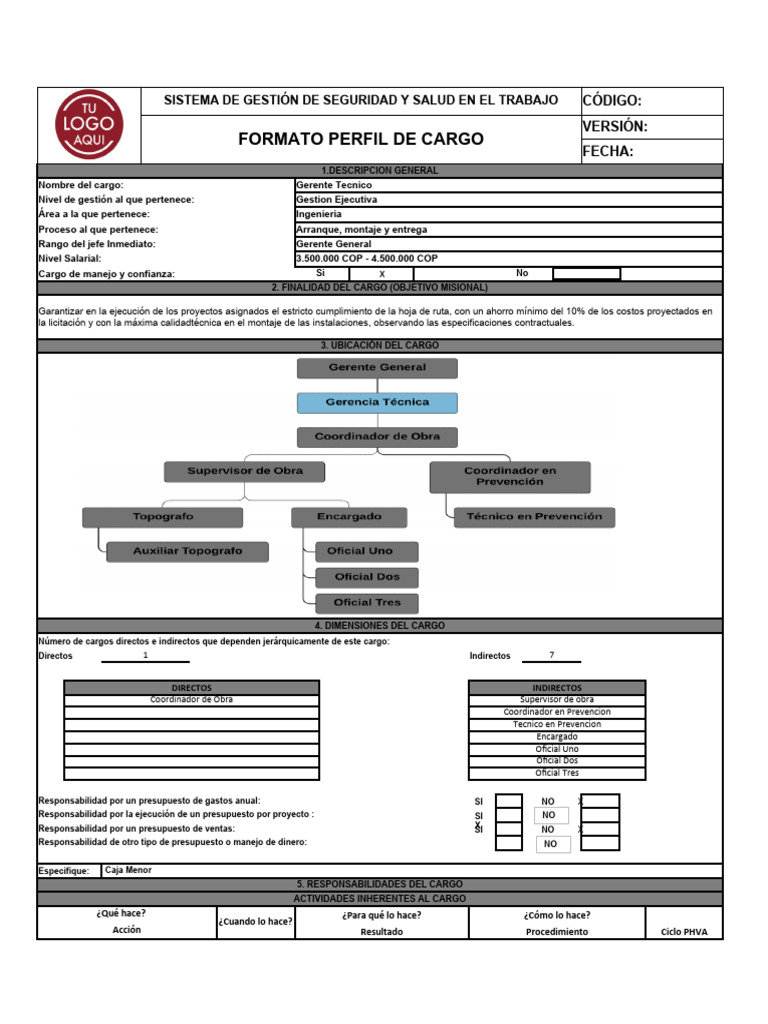 Formato Perfil de Cargo | Descargar gratis PDF | Presupuesto | Electricidad