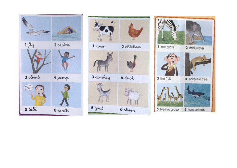 Animals Conversing | PDF