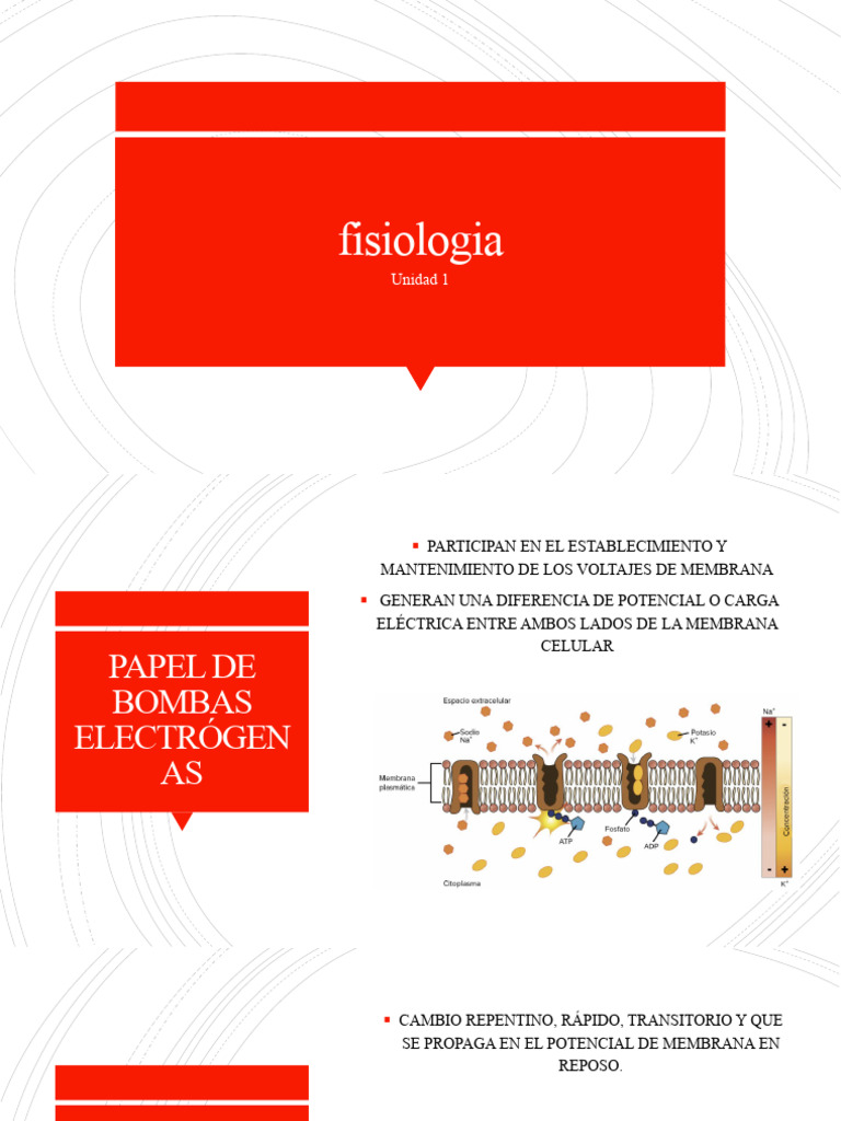 Fisiologia 4 Combas Electrogenas | PDF | Canal de iones | Transducción de señales
