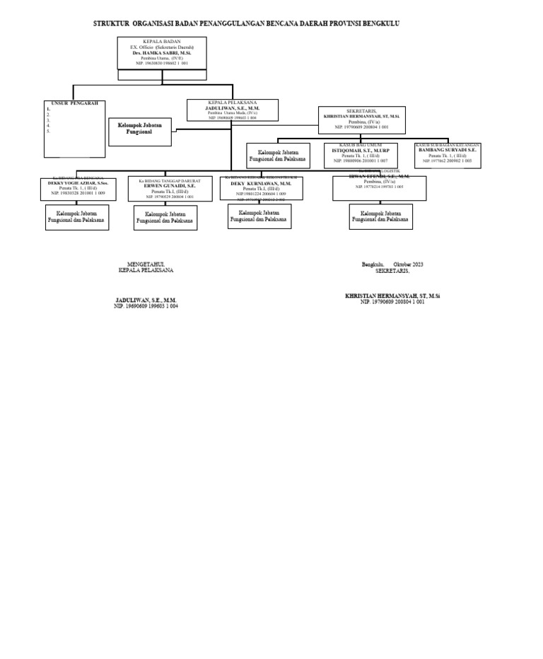 Struktur ORGANISASI BPBD Tahun 2024 | PDF
