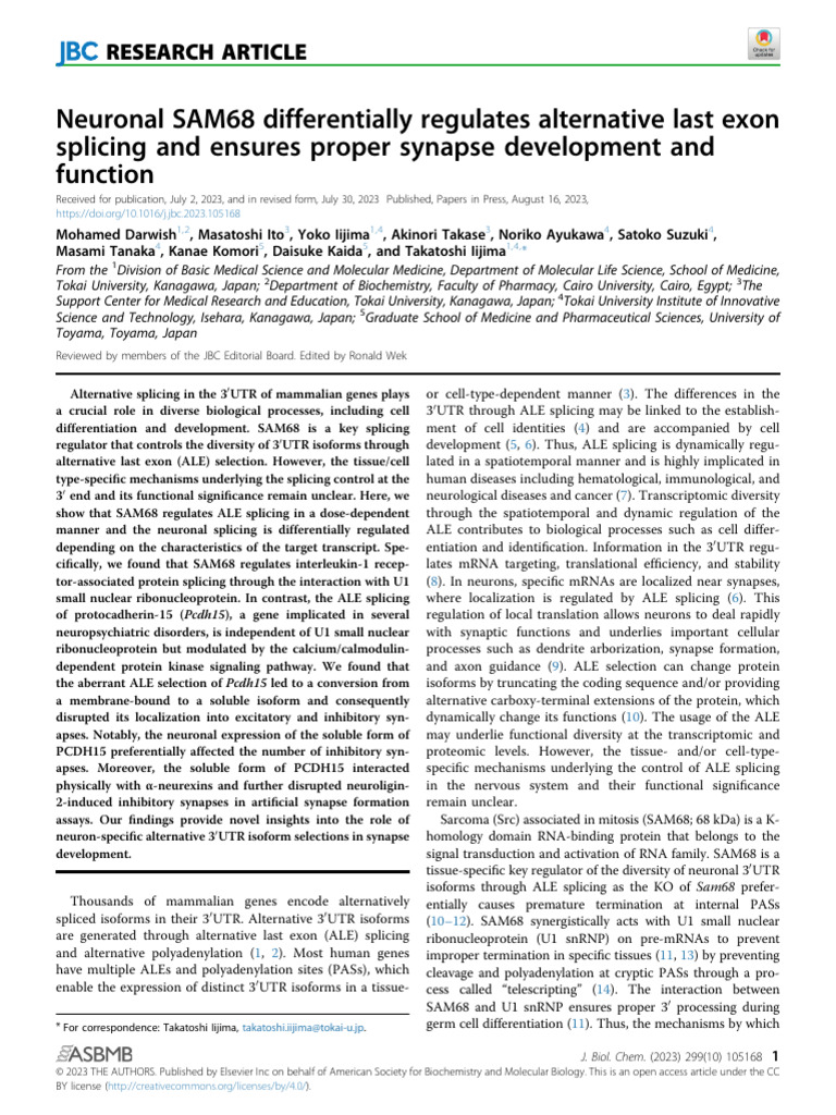 3035 Paper Selection | PDF | Chemical Synapse | Synapse