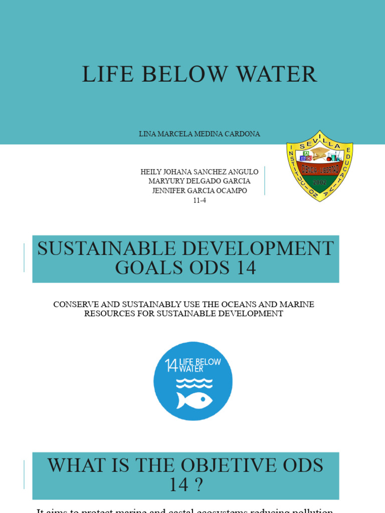 Sustainable Development Goal 14 Overview | PDF