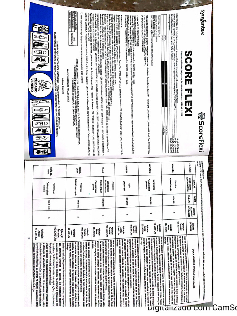 Score Flex | PDF