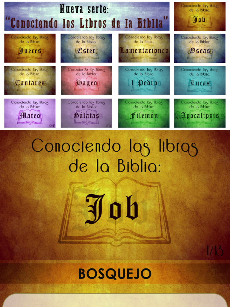 Conociento Los Libros de La Biblia Job | PDF