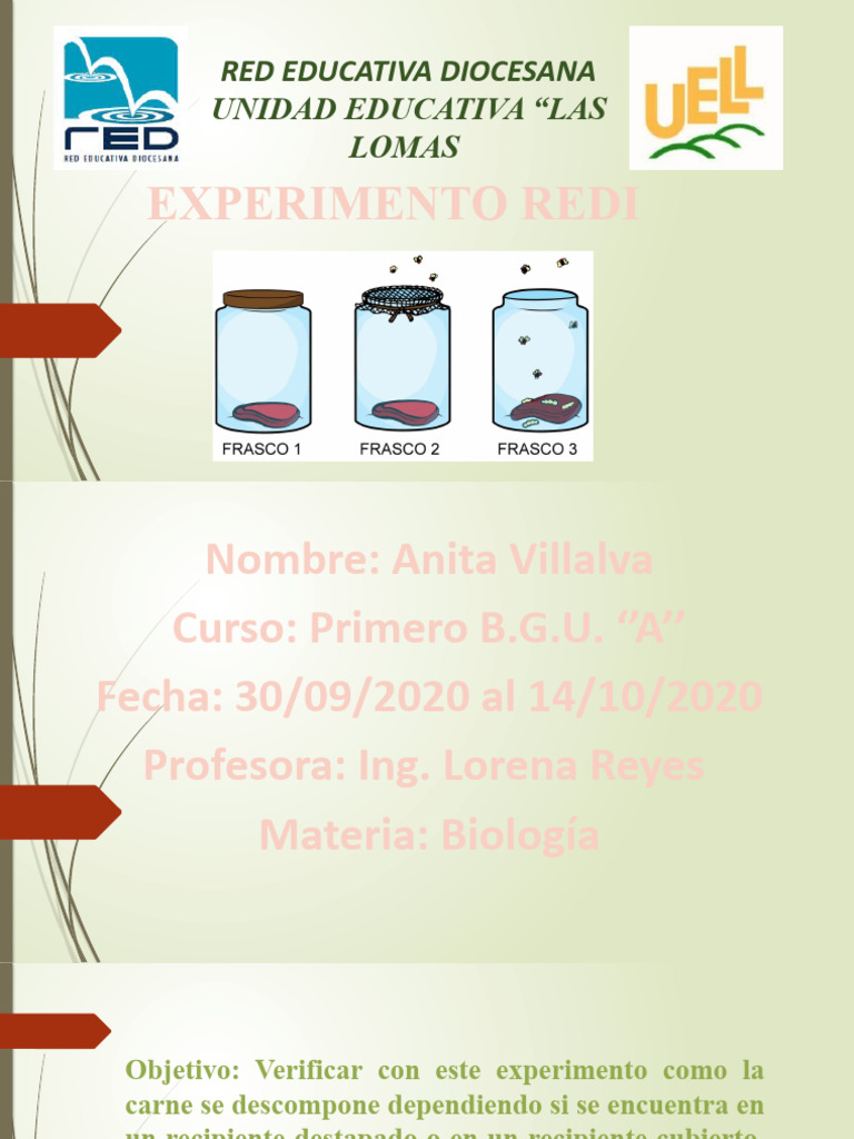 EXPERIMENTO | PDF