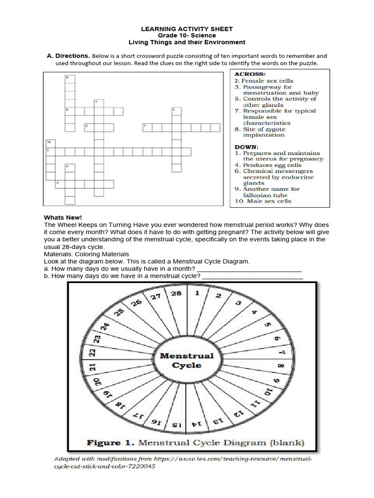 Grade 10 Science: Menstrual Cycle | PDF