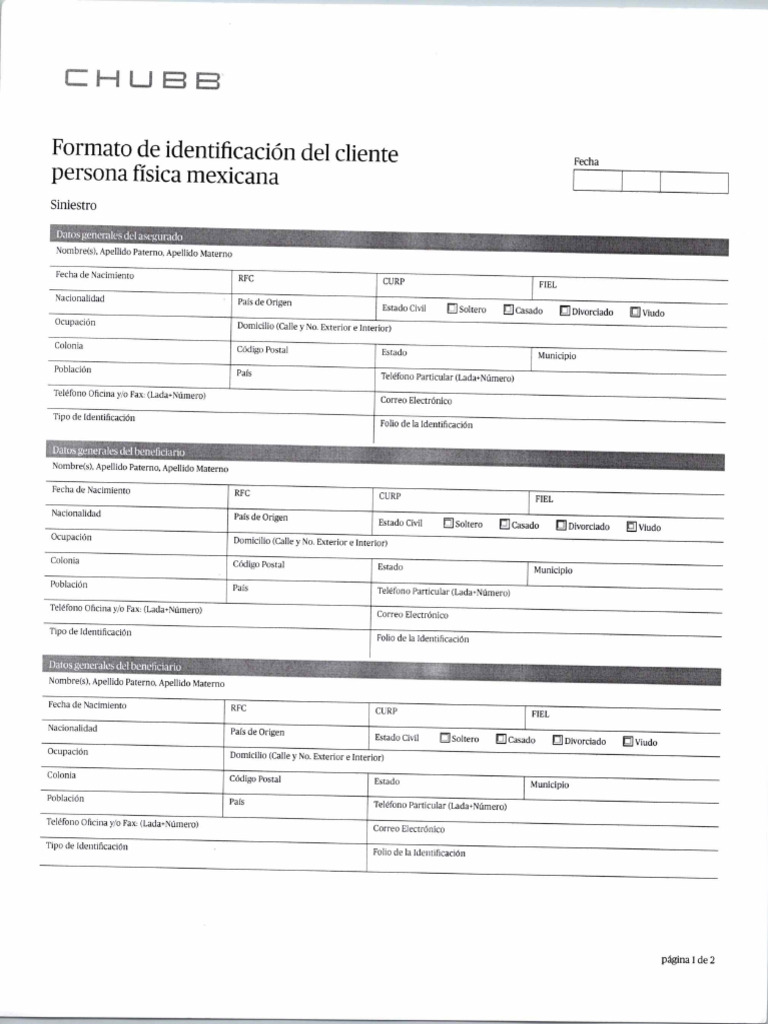 Formato Identificacion Del Cliente | PDF