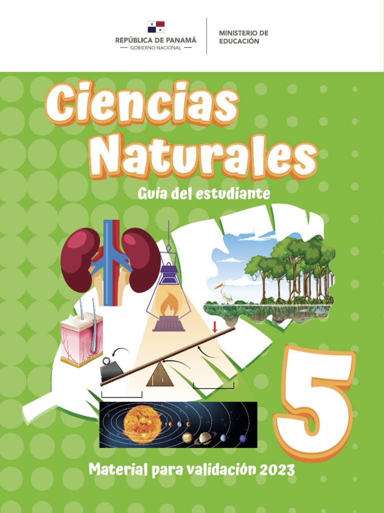 Guia Ciencias Quinto para Estudiantes | PDF | Excreción | Sistema urinario
