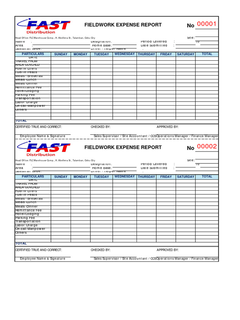 Fieldwork Expense Report | PDF