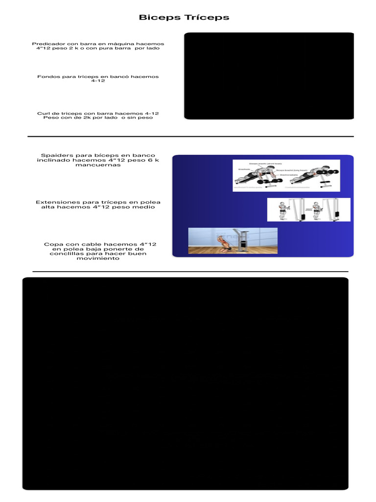 Biceps Triceps | PDF