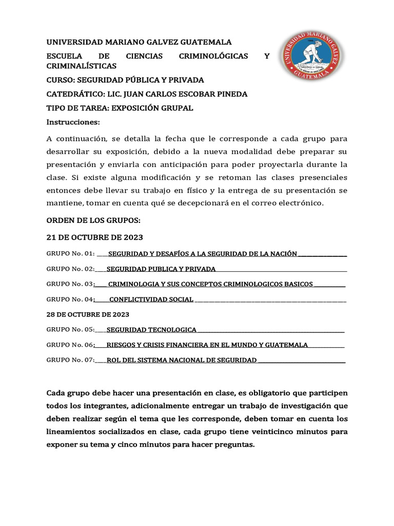 Lineamientos Exposición Grupal | PDF