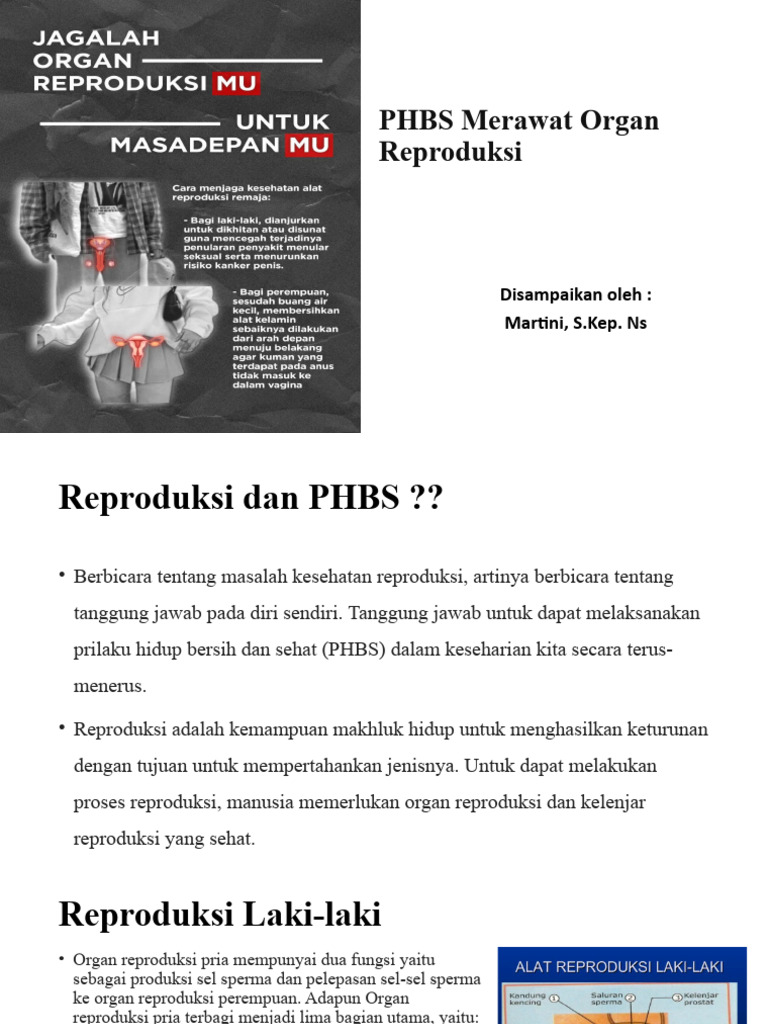 Phbs&reproduksi | PDF