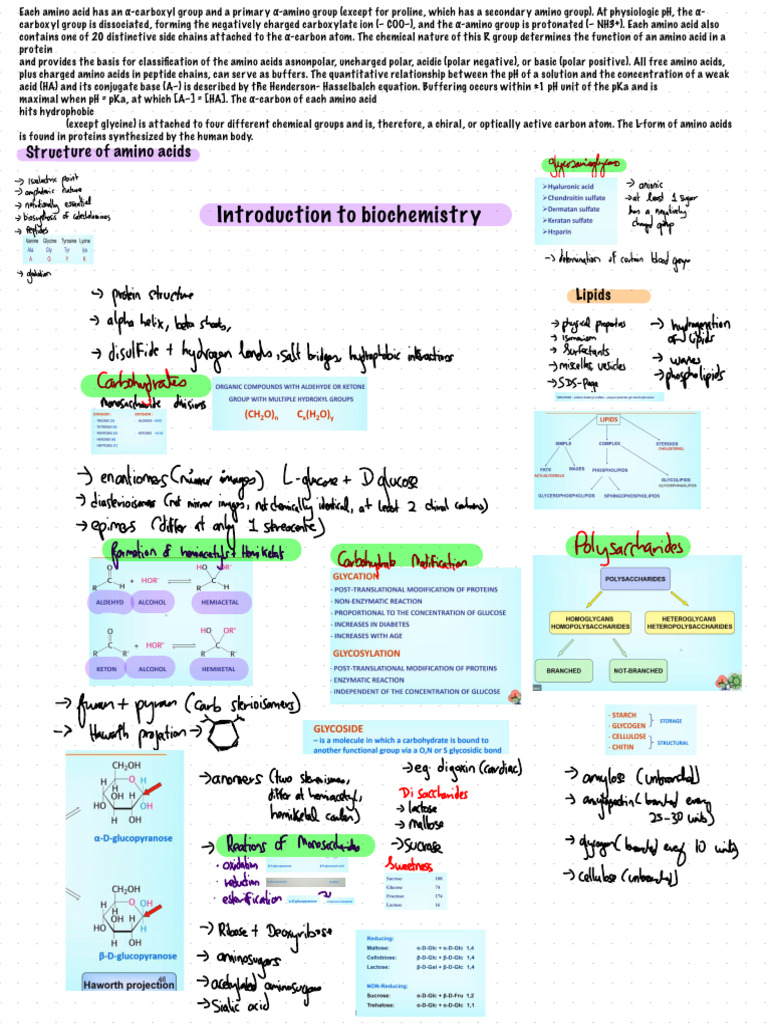 Biochem Final | Download Free PDF | Amino Acid | Acid