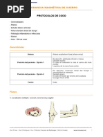 Me2. Protocolo - Plexo Braquial | PDF | Extremidades (anatomía) | Sistema musculoesquelético